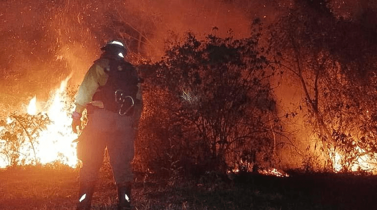 Incendios en Bolivia arrasan 3,8 millones de hectáreas: 60% de ...
